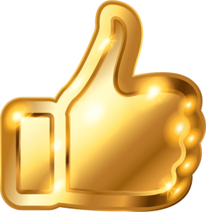 ALPHA GENERATOR – Professional Power Tools